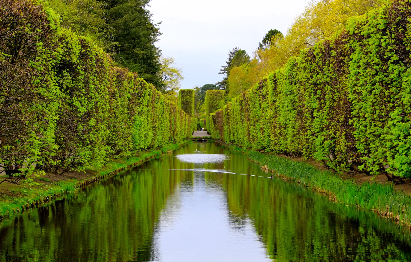 Wallpaper water, park, spring, pond for mobile and desktop, section ...