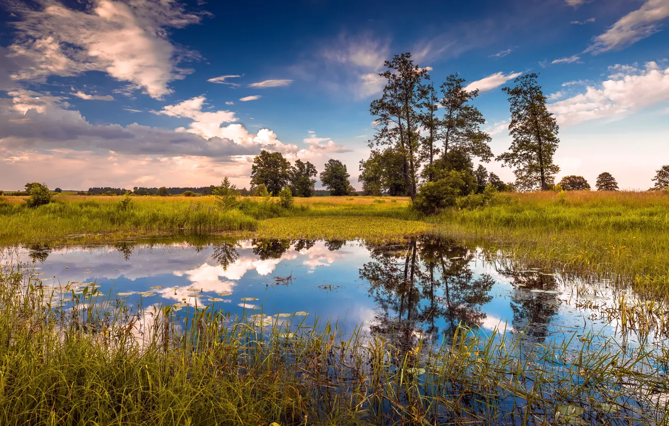 Wallpaper summer, nature, lake images for desktop, section природа ...