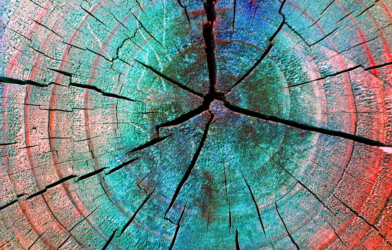 Wallpaper cracked, tree, color, stump, ring for mobile and desktop ...