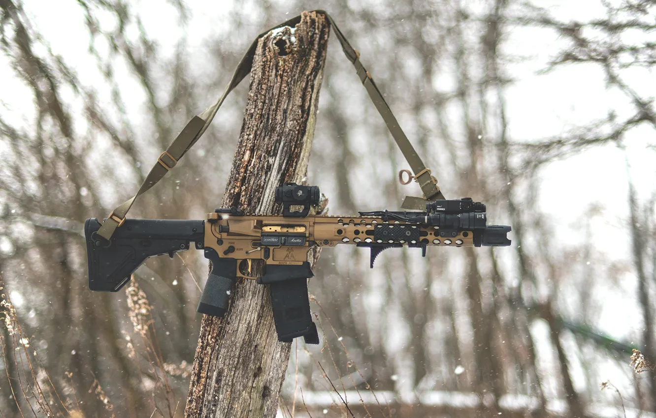 Wallpaper weapons, rifle, weapon, custom, M16, ar-15, assault rifle ...