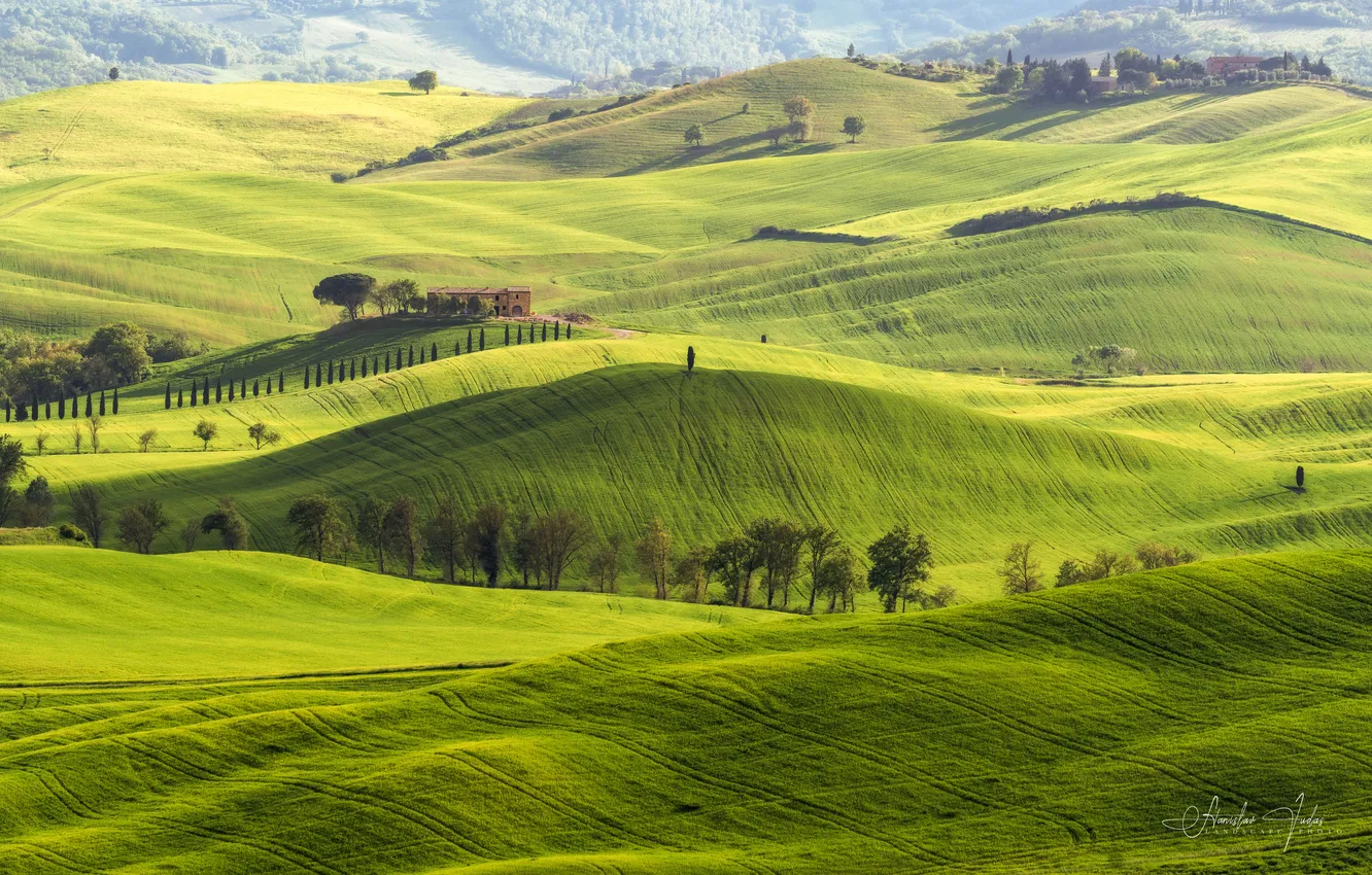 Wallpaper green, europe, field for mobile and desktop, section природа ...