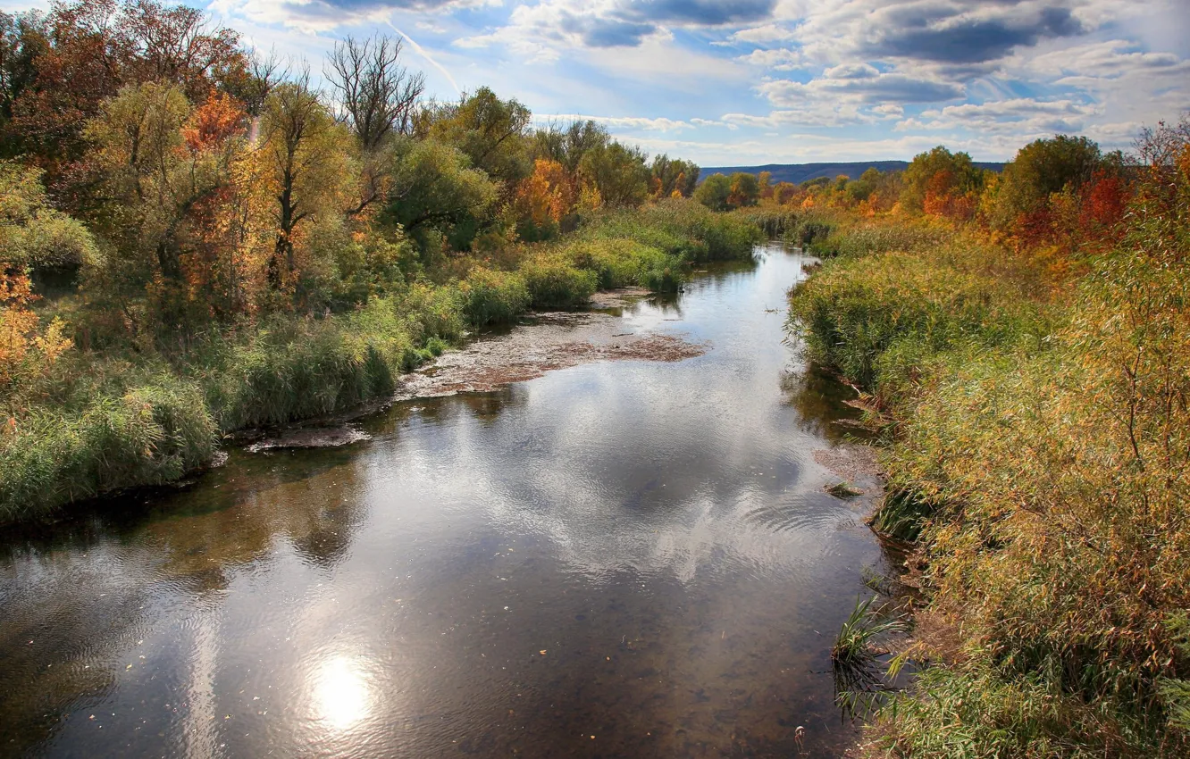 Wallpaper grass, landscape, nature, river, beauty, panorama, channel ...