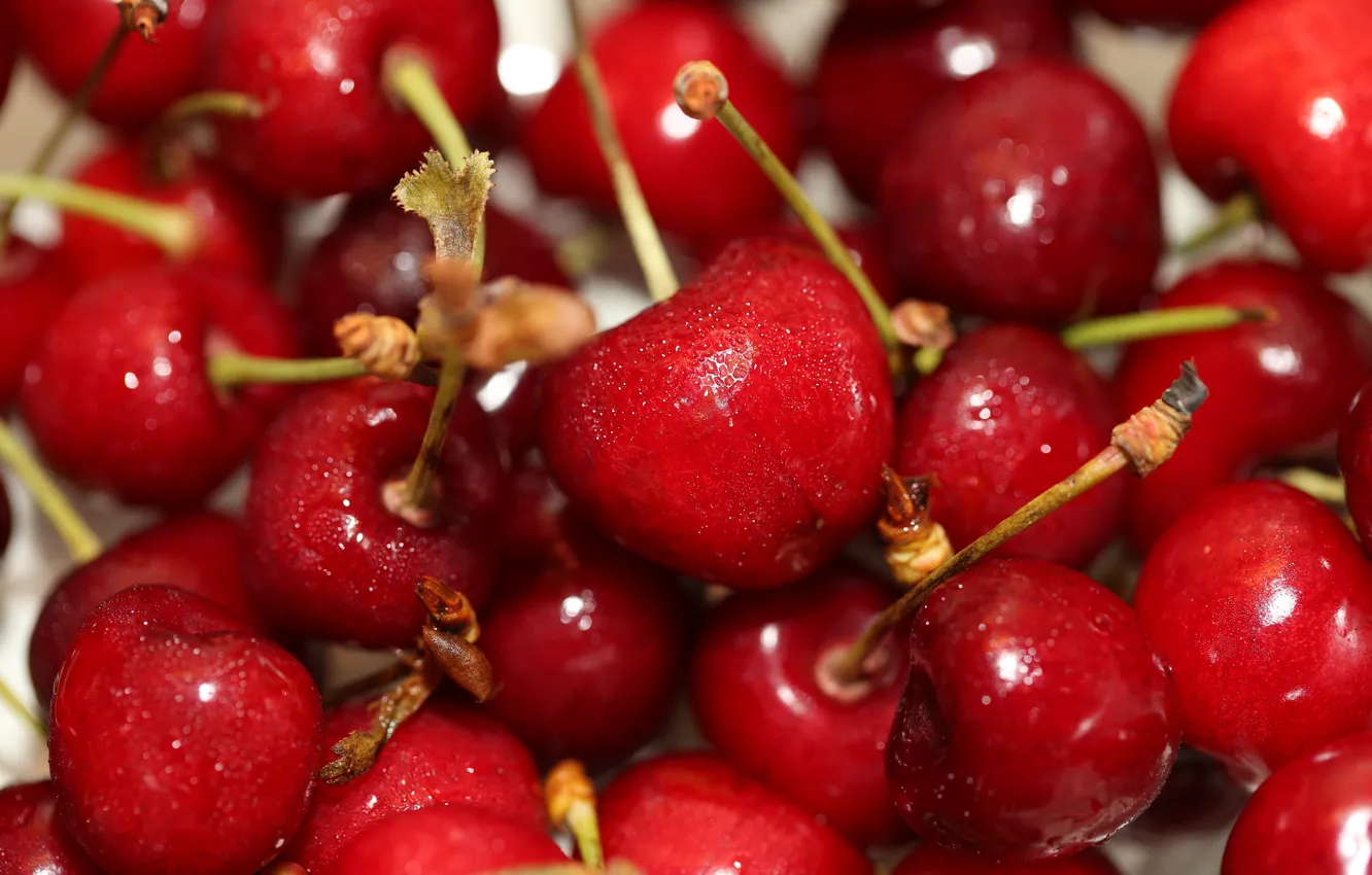 Wallpaper cherry, berries, Shine, harvest, fruit, a lot, cherry for ...