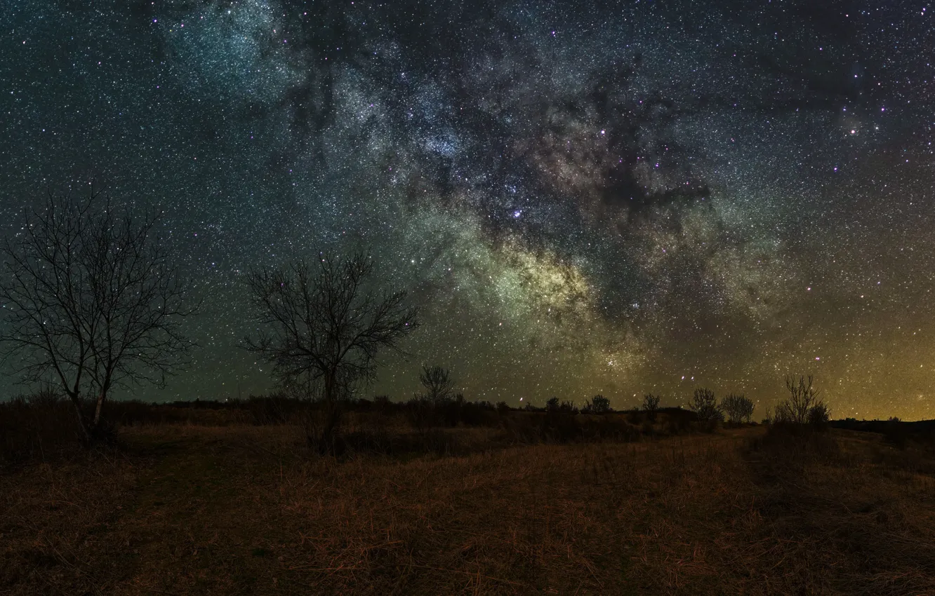 Wallpaper field, stars, night, the milky way for mobile and desktop ...