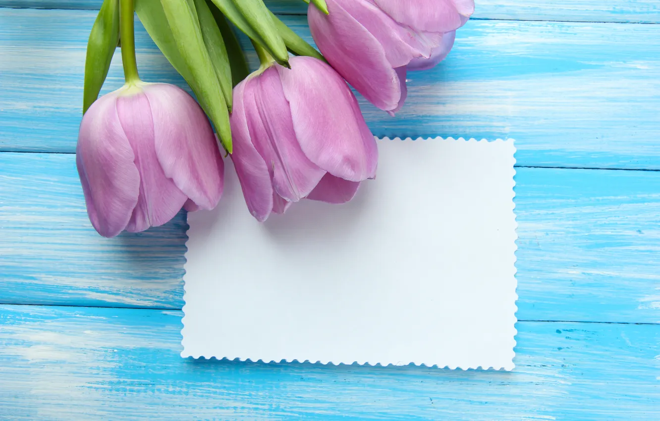 Wallpaper flowers, bouquet, tulips, wood, flowers, tulips, postcard, spring for mobile and ...