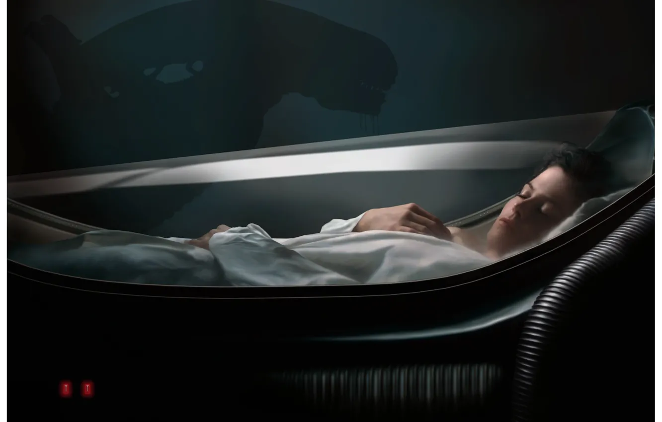 Wallpaper ridley scott, xenomorph, art, alien, cryochamber, sigourney ...