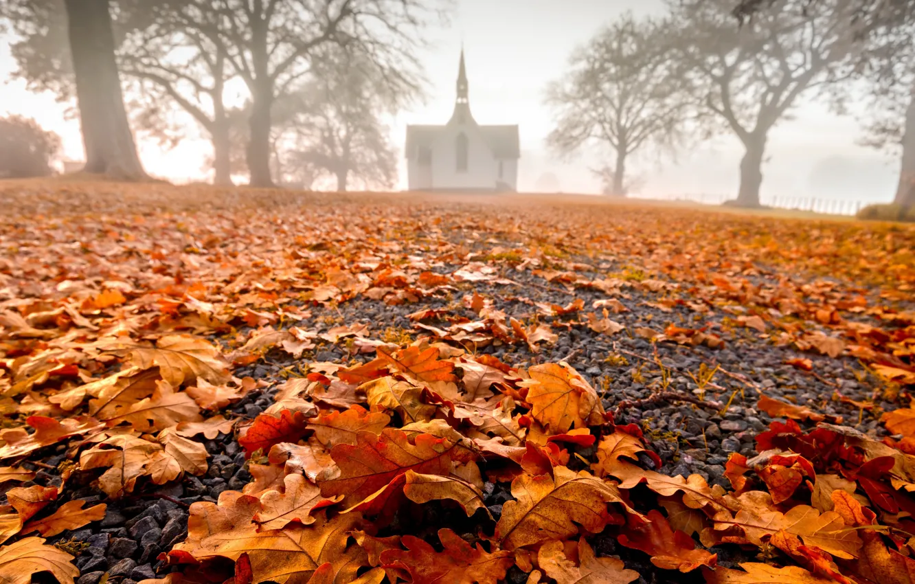 Wallpaper New Zealand, Hawke's Bay, Pukehou, Christ Church images for ...