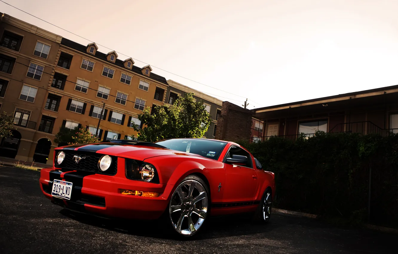 Wallpaper red, Mustang, Ford, Mustang, red, muscle car, Ford, racing ...