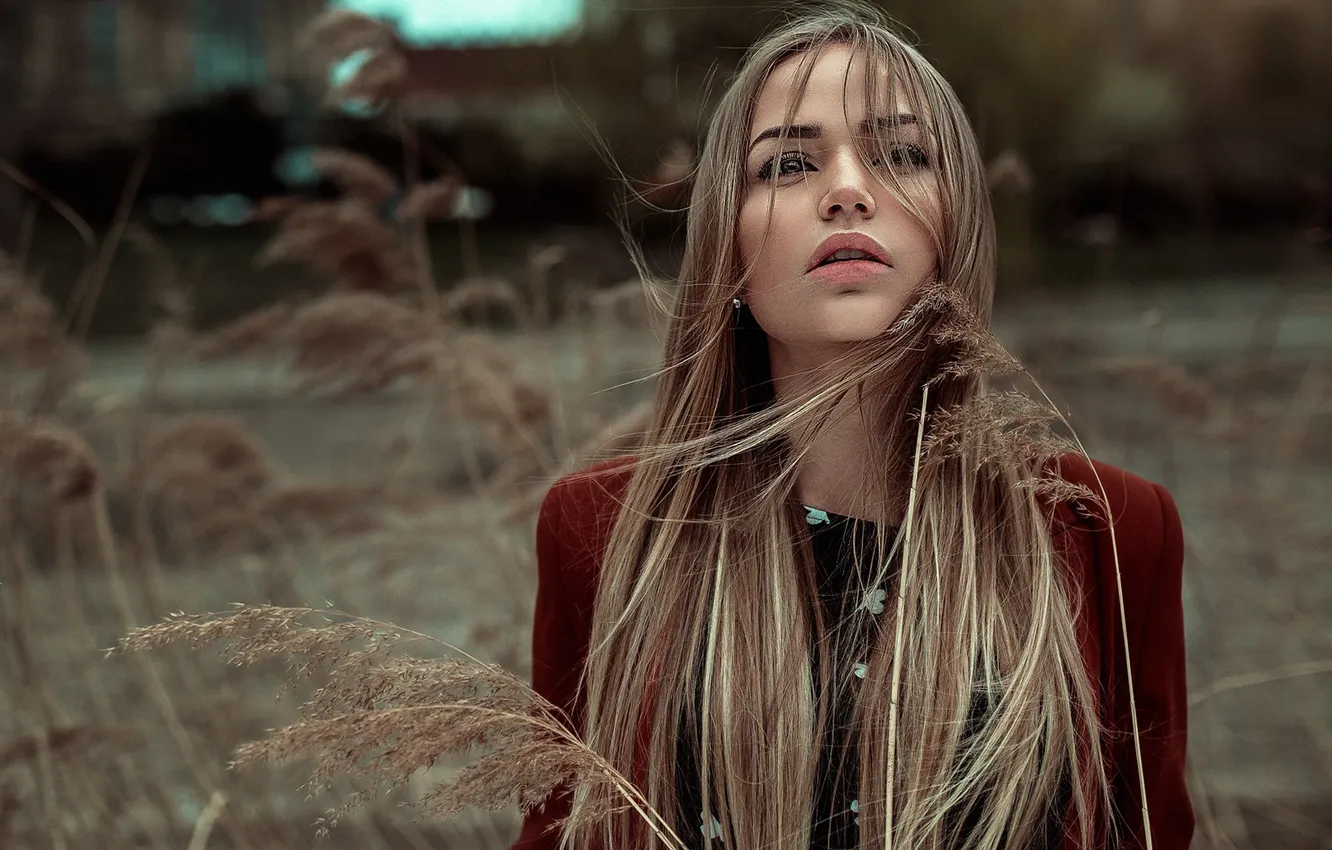 Wallpaper grass, model, portrait, makeup, hairstyle, beauty, nature ...