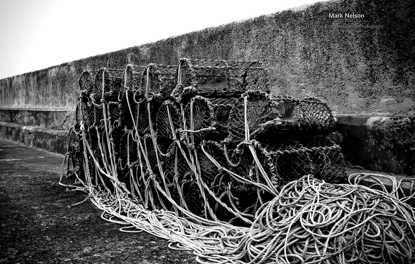 Wallpaper photographer, magic b & W photo, Monochromatic, Mark Nelson ...