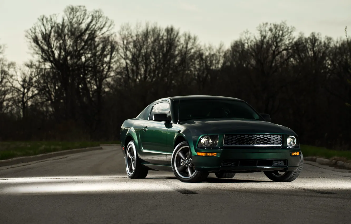 Wallpaper Mustang, Road, Trees, Bullitt for mobile and desktop, section ...