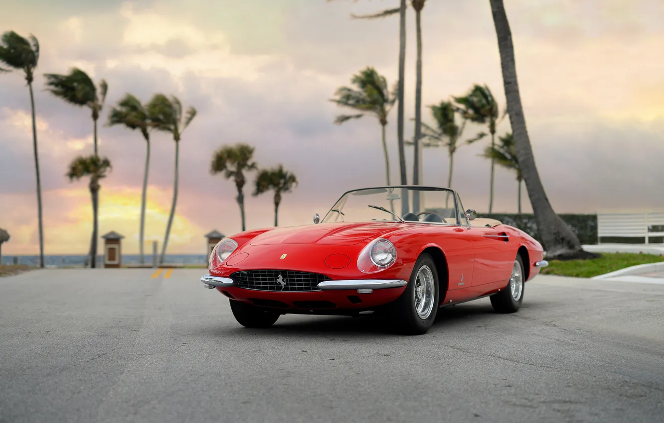 Wallpaper road, red, palm trees, Ferrari, car for mobile and desktop ...
