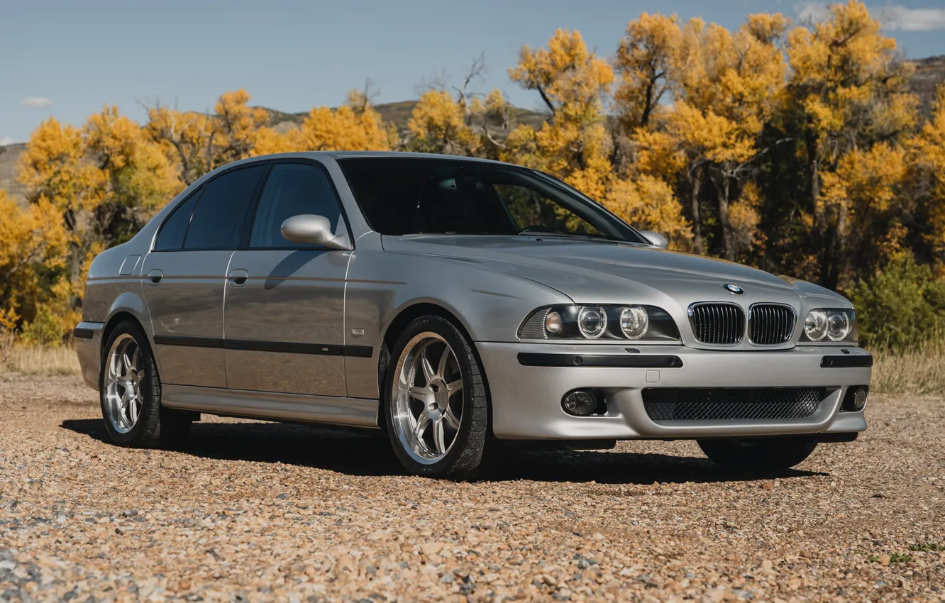 Wallpaper Autumn, E39, Wheels, M5 for mobile and desktop, section bmw ...
