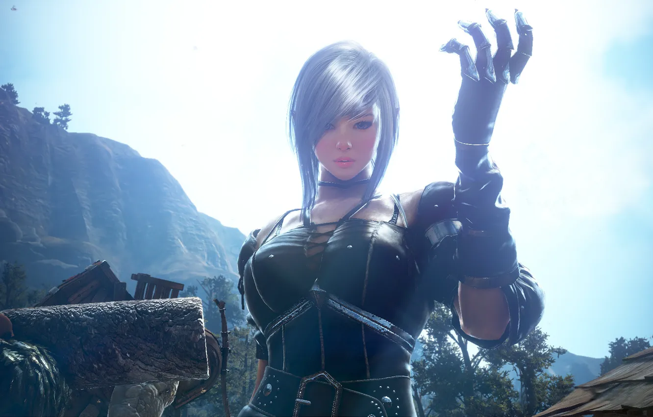 Wallpaper Black Desert, Black Desert Online, BDO images for desktop ...