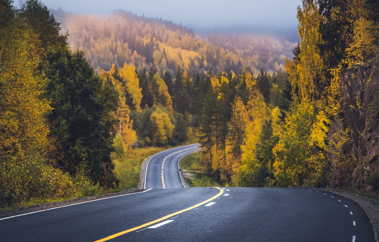 Wallpaper road, autumn, forest for mobile and desktop, section природа, resolution 3000x2000 ...