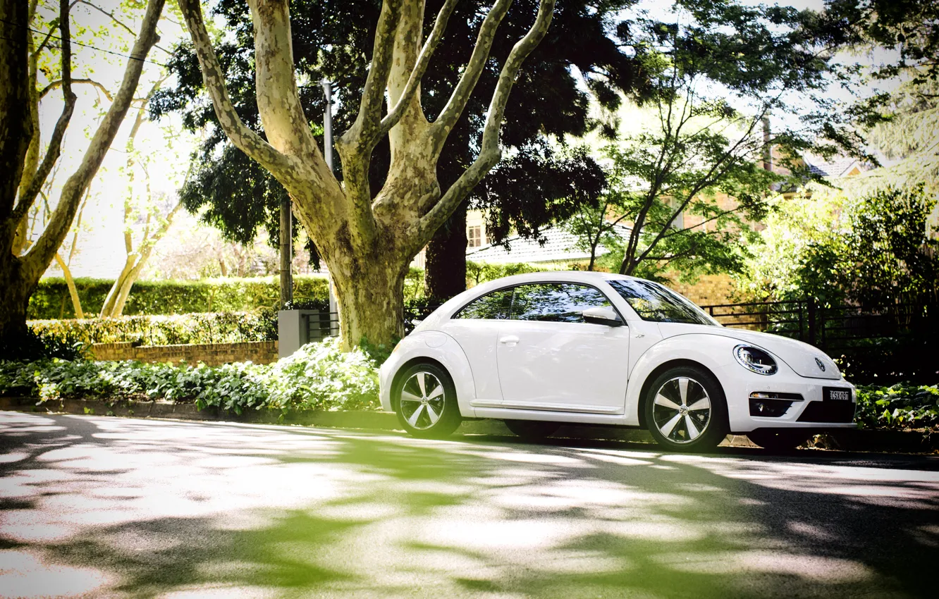 Wallpaper beetle, Volkswagen, Volkswagen, Beetle for mobile and desktop ...