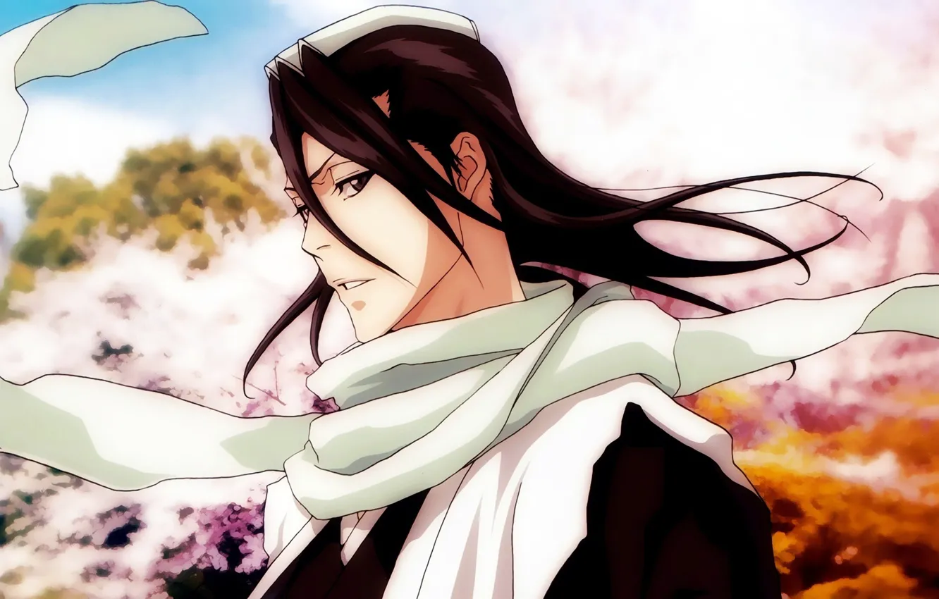 Wallpaper art, captain, Bleach, Bleach, kuchiki byakuya, Kuchiki ...