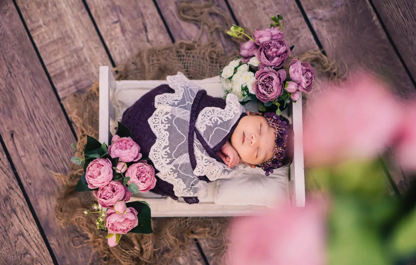 Wallpaper flowers, pose, Board, child, sleep, roses, sleeping, girl ...