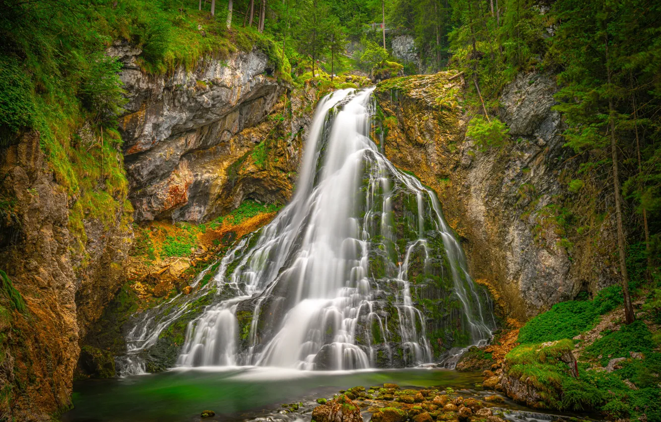 Wallpaper forest, river, rocks, waterfall, Austria, cascade, Austria ...