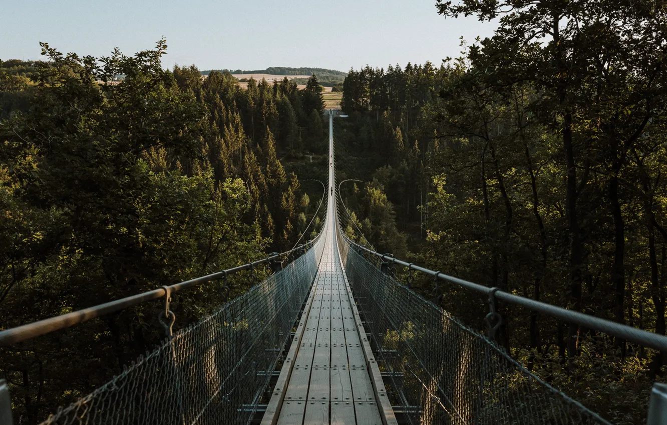 Wallpaper forest, bridge, nature images for desktop, section пейзажи ...