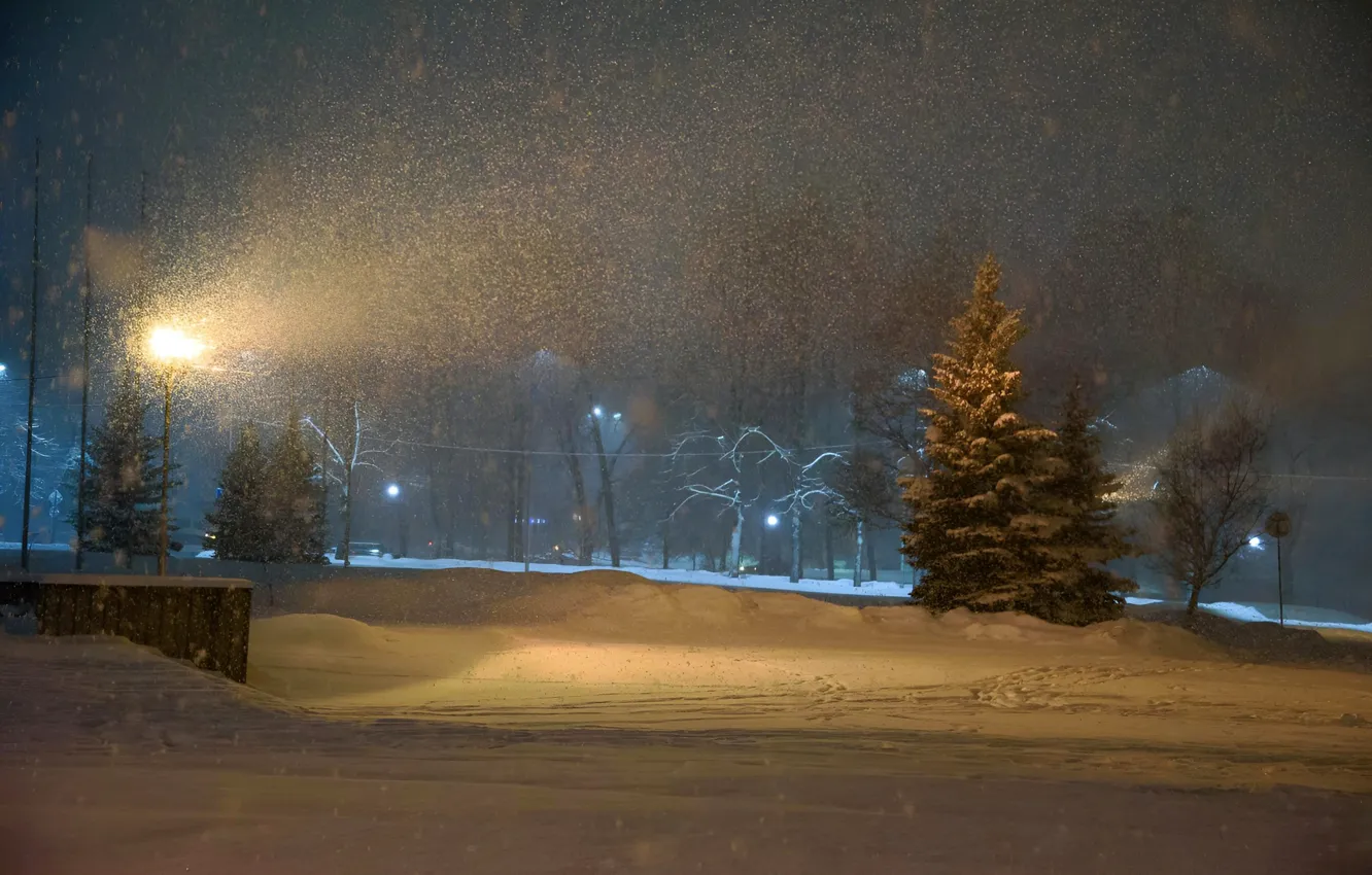 Wallpaper winter, snow, winter night, winter, snow, Winter night for ...