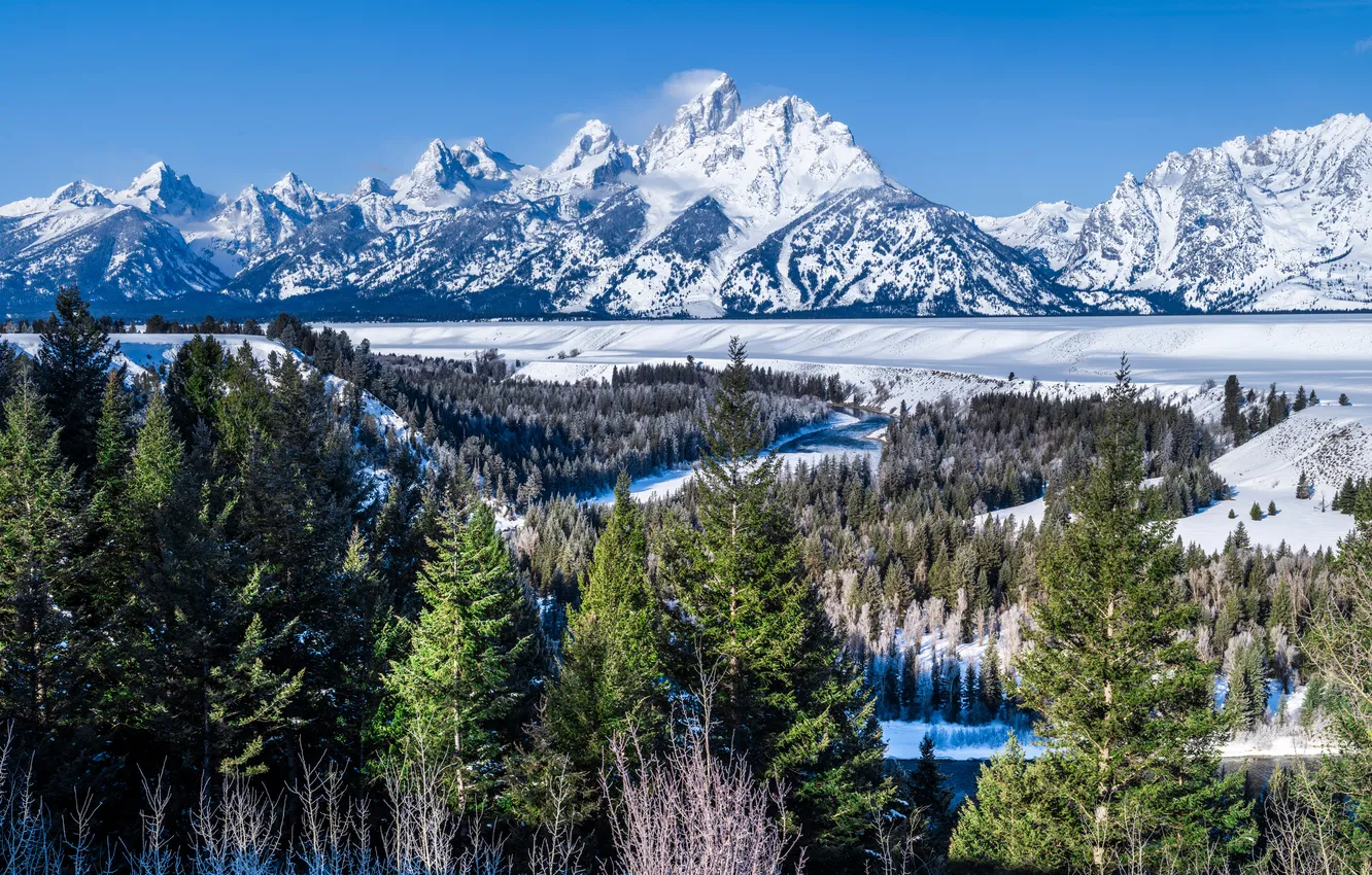 Wallpaper Mountains, Snow, USA, Landscape, Forest, Grand Teton National ...