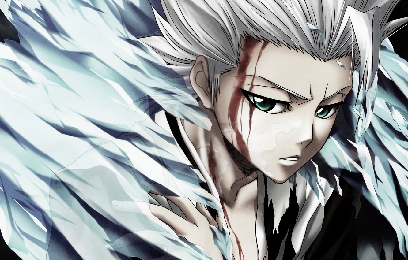 Wallpaper ice, anime, Bleach, bleach, bankai, Hitsugaya, Toshiro for ...