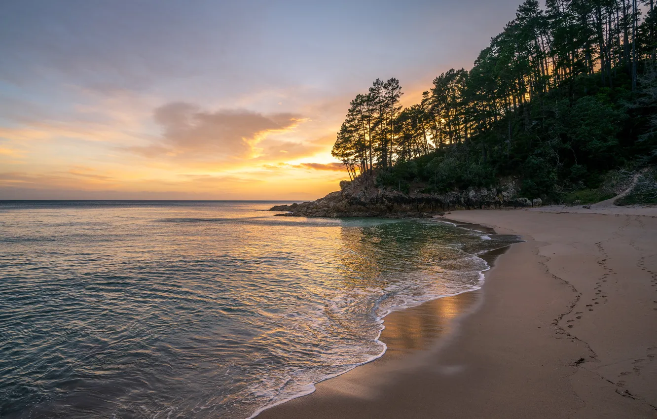 Wallpaper sea, beach, trees, rocks, shore, surf for mobile and desktop ...