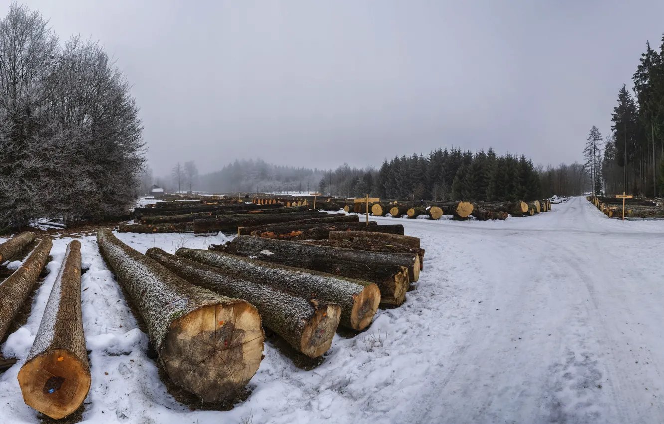 Wallpaper winter, forest, log for mobile and desktop, section природа ...