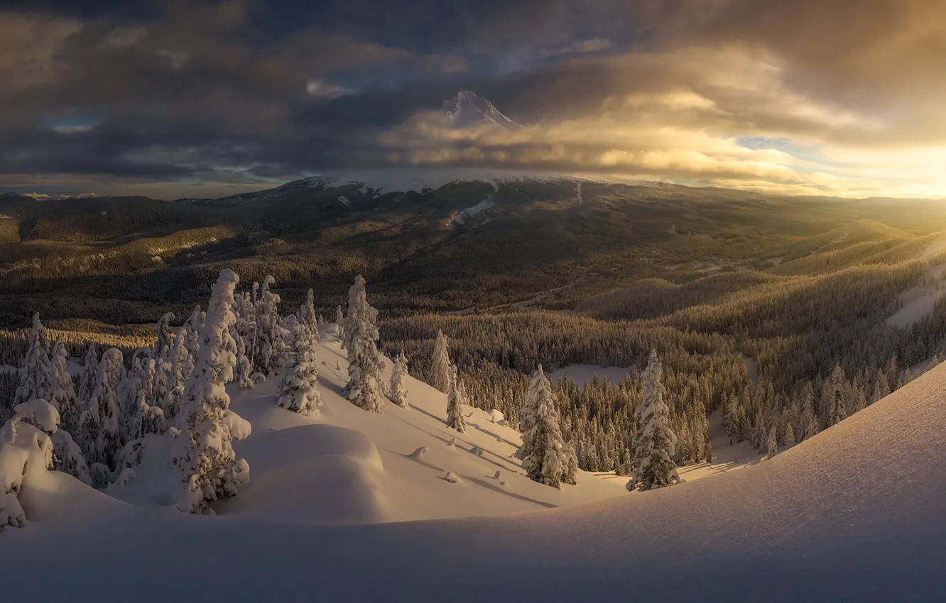 Wallpaper winter, forest, snow, dawn, morning, valley, Oregon, the snow ...