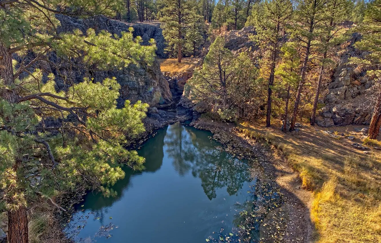 Wallpaper nature, rocks, AZ, USA, USA, Arizona, pine, Forest and pond ...