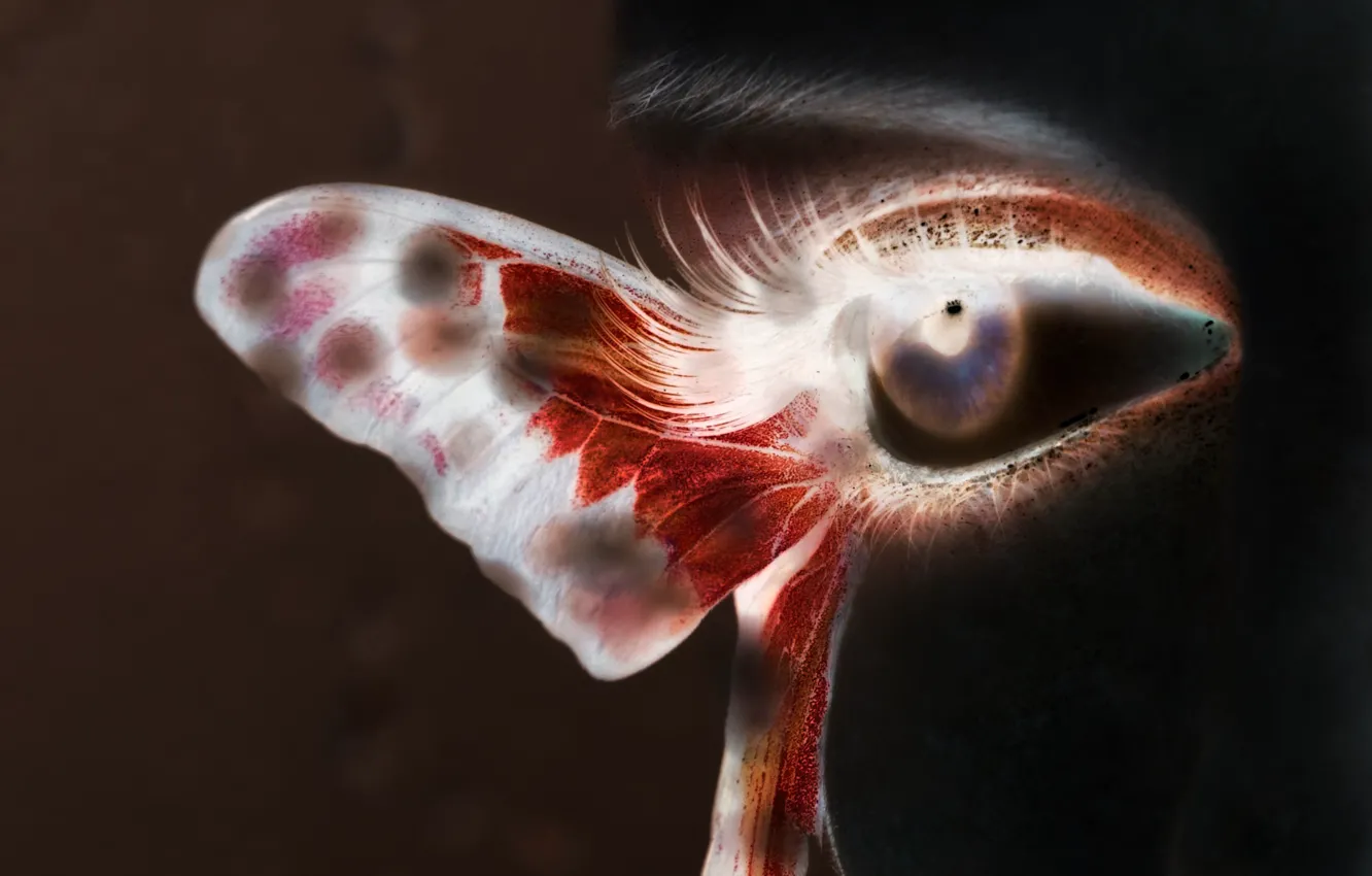 Wallpaper eyes, wings, sacred for mobile and desktop, section ...