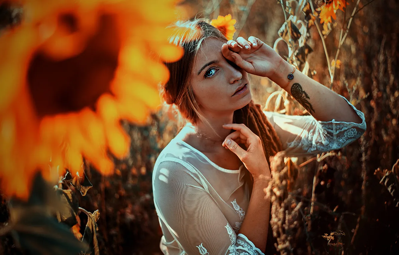 Wallpaper field, summer, look, girl, light, sunflowers, flowers, nature ...