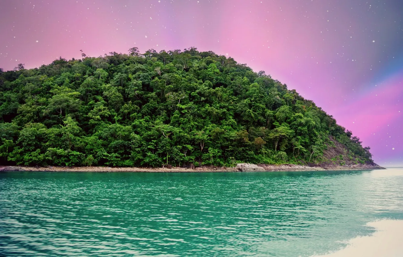 Wallpaper sea, trees, island, sea, island trees for mobile and desktop ...