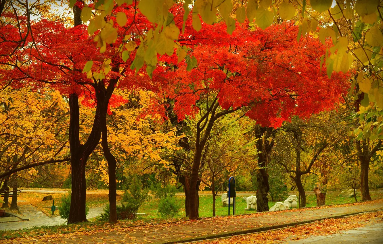 Wallpaper Autumn, Trees, Park, Fall, Foliage, Park, Autumn, Colors for ...