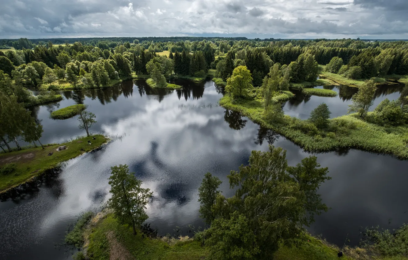 Wallpaper forest, trees, panorama, lake, Lithuania, Lithuania ...