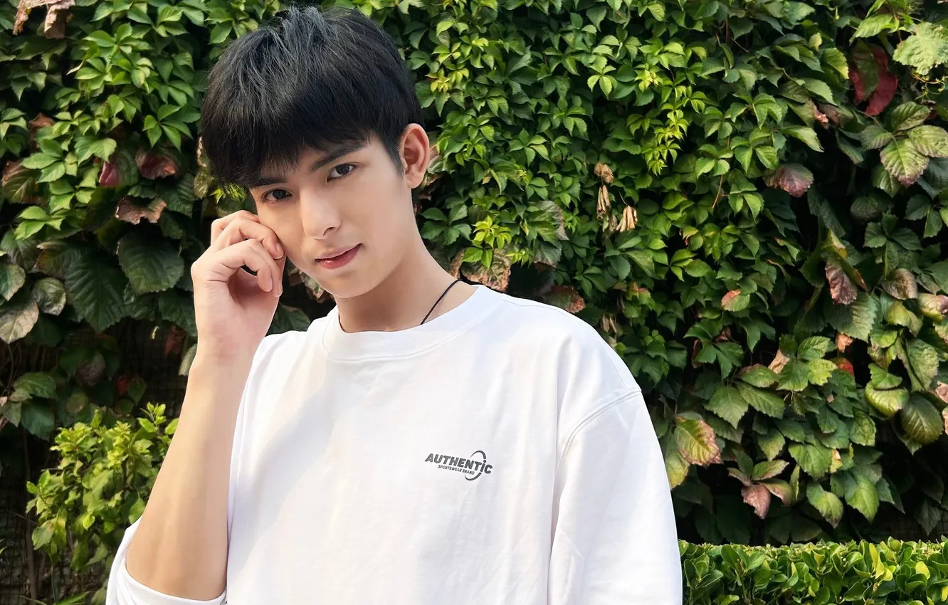 Wallpaper background, chinese actor, Wang Hao Xuan, Wang Hao Xuan for ...