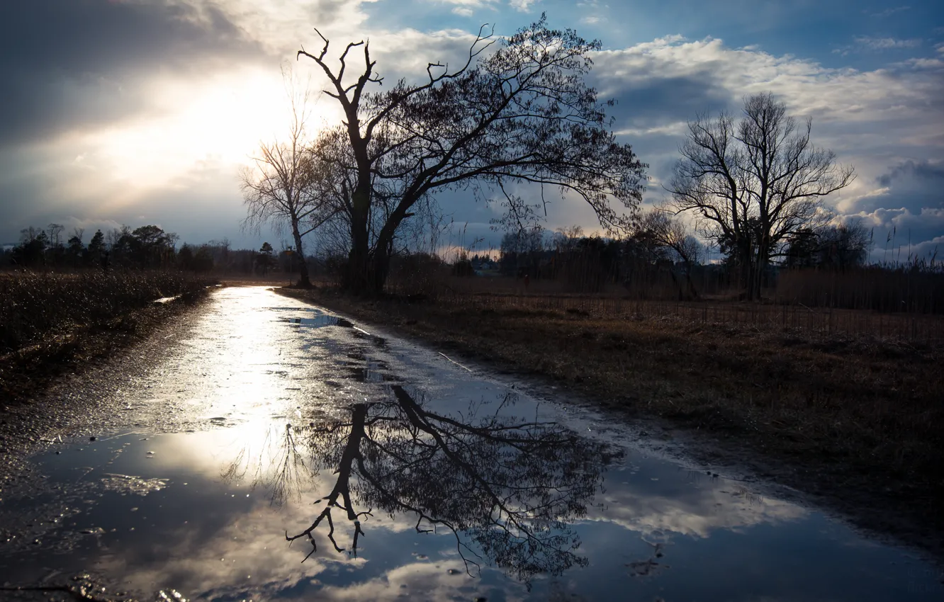 Wallpaper road, morning, puddle for mobile and desktop, section природа ...