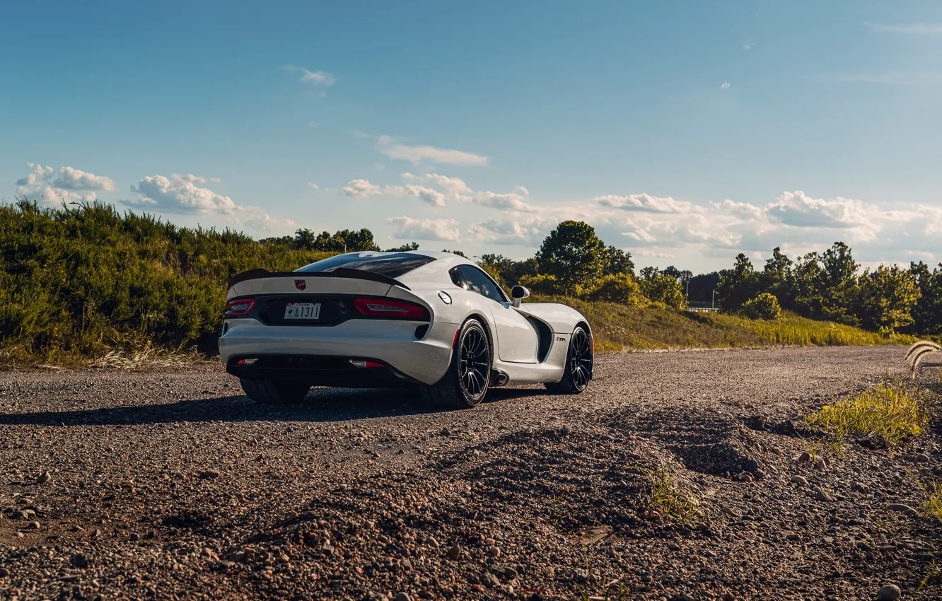 Wallpaper White, Rear view, Viper TA images for desktop, section dodge ...