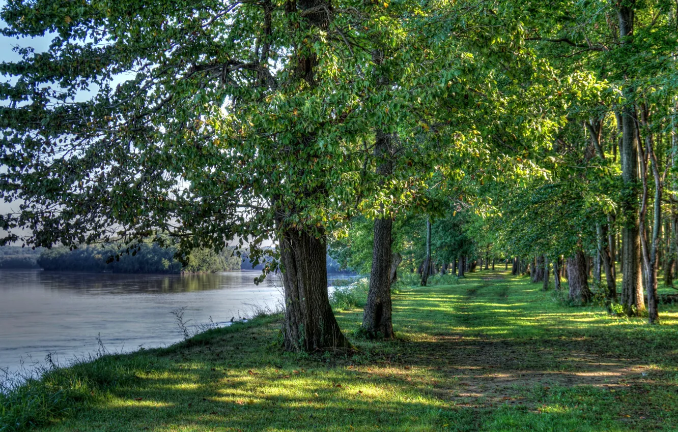 Wallpaper greens, summer, grass, trees, river, shore, USA, Indiana for ...
