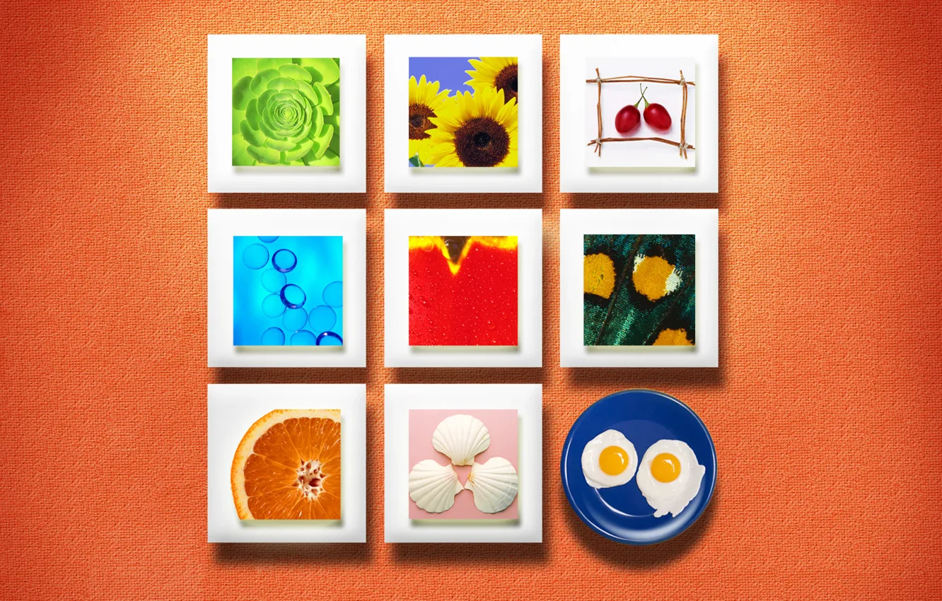 Wallpaper wall, food, texture, squares images for desktop, section ...