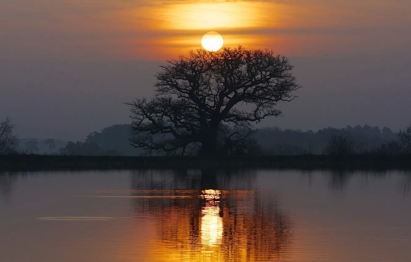 Wallpaper sunset, lake, tree, reflection for mobile and desktop ...