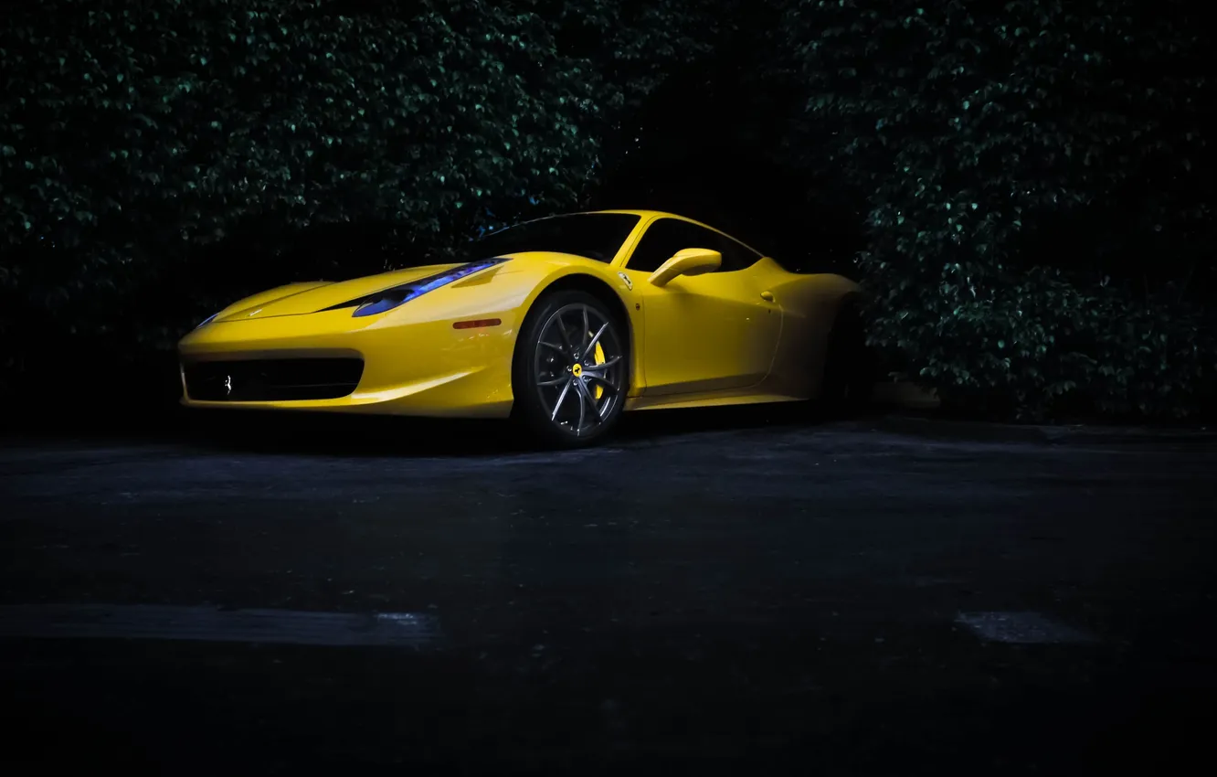 Wallpaper yellow, ferrari, Ferrari, side view, the bushes, yellow ...
