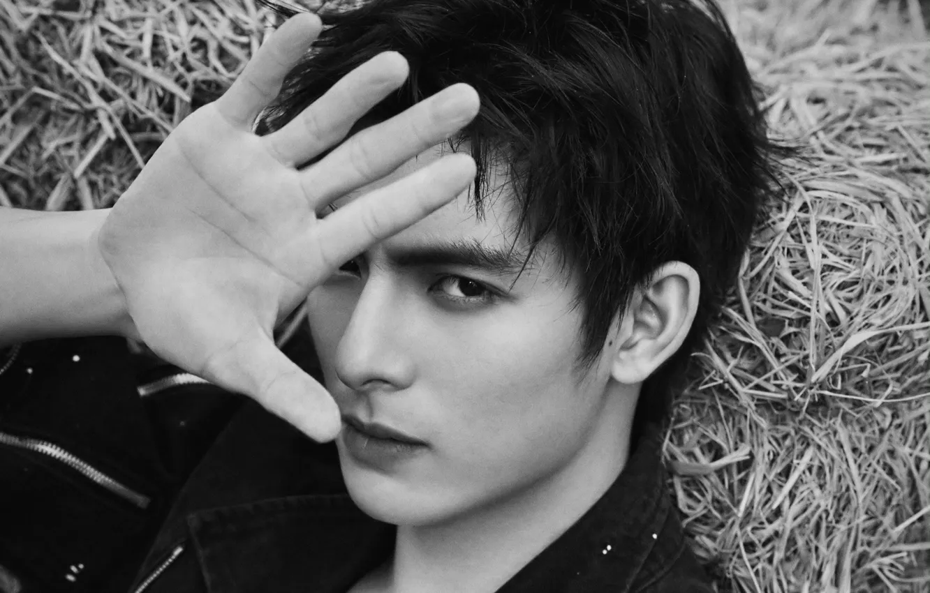 Wallpaper look, hand, hay, China, actor, black and white photo, chinese actor, Wang Hao Xuan for ...