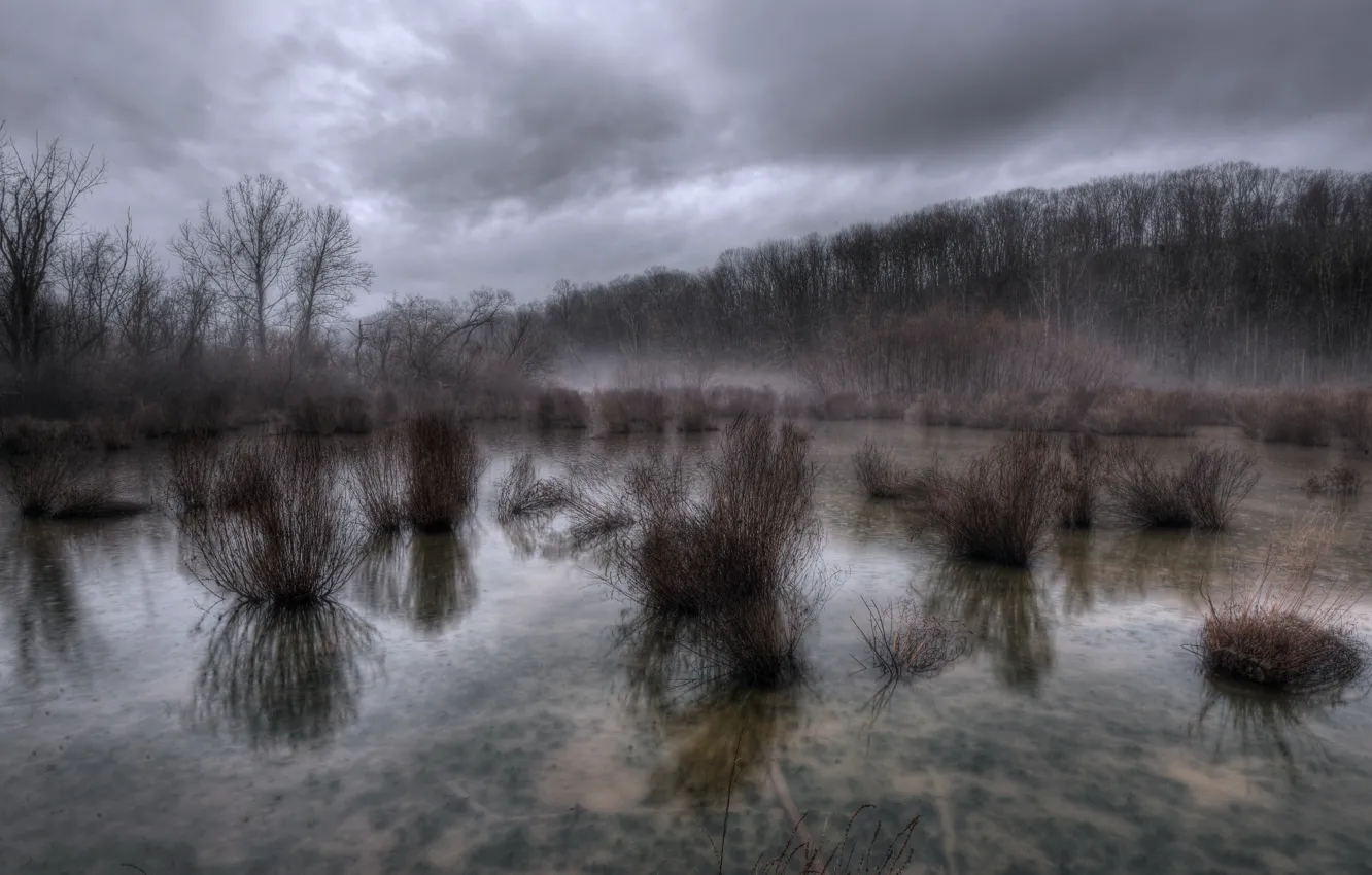 Wallpaper nature, fog, swamp for mobile and desktop, section природа ...