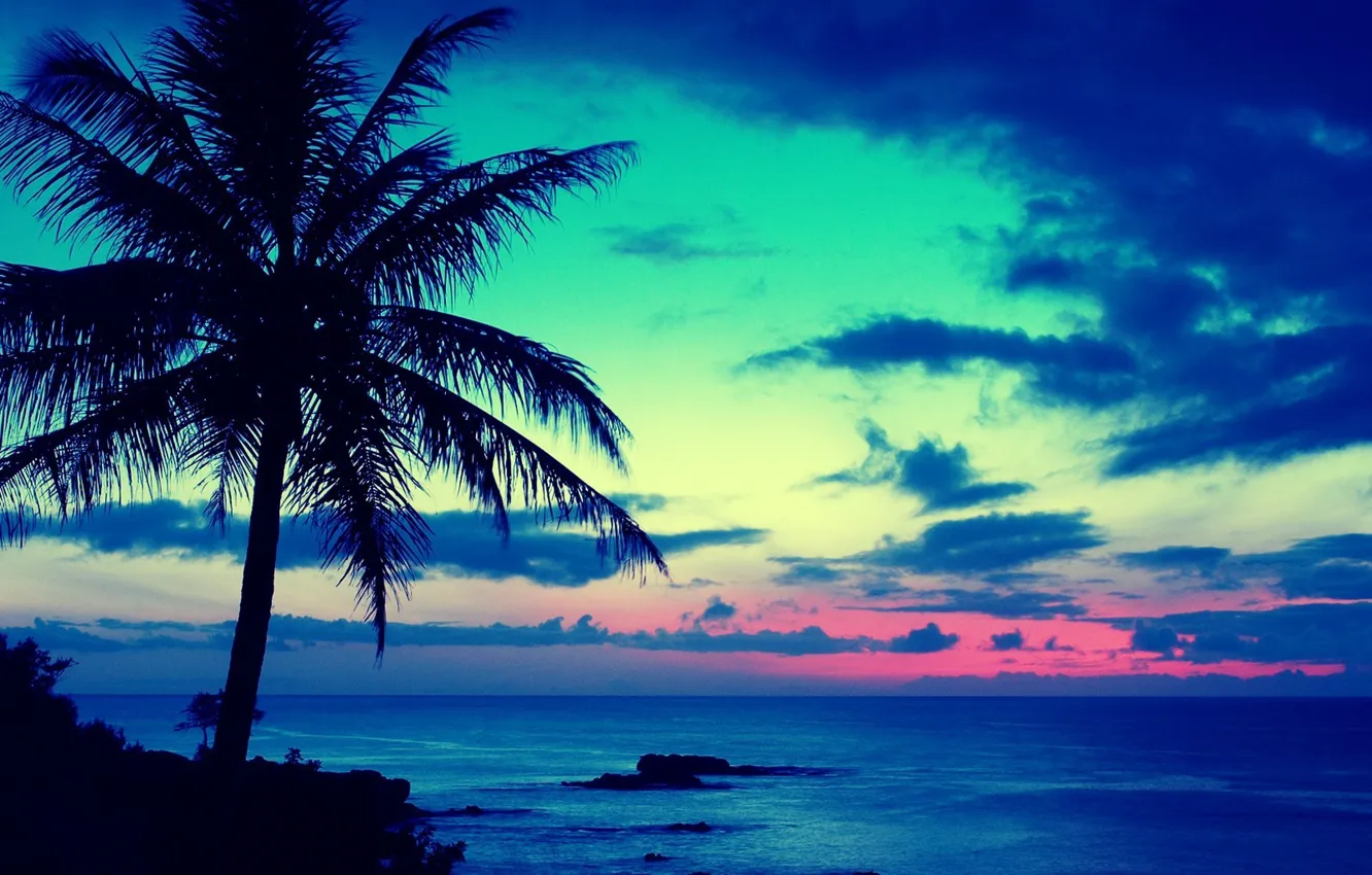 Wallpaper sea, Palma, the evening images for desktop, section пейзажи ...