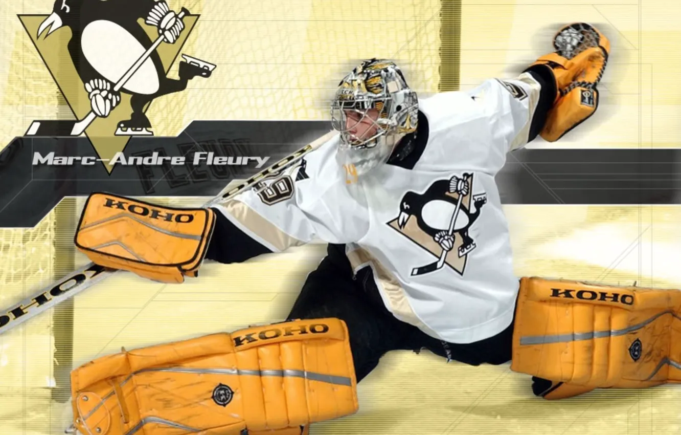 Wallpaper hockey, goalkeeper, NHL, Pittsburgh, mark andre fleury for ...