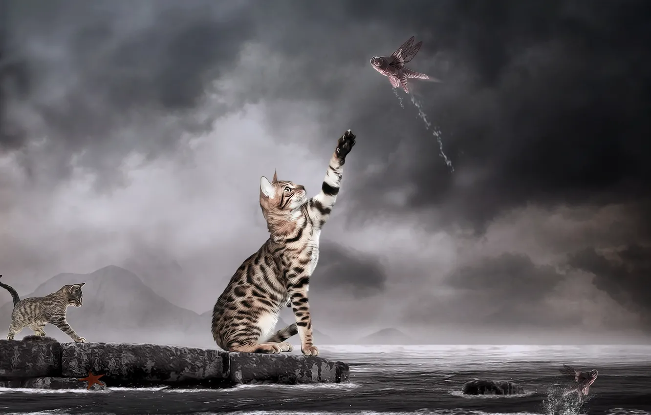 Wallpaper water, lake, photomanipulation, Cats, Fishes, Surrealism for ...