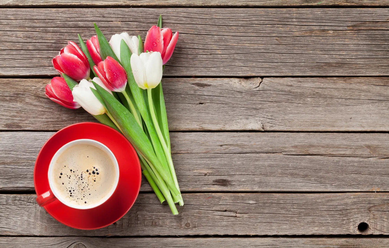 Wallpaper flowers, bouquet, tulips, red, white, wood, flowers, tulips ...