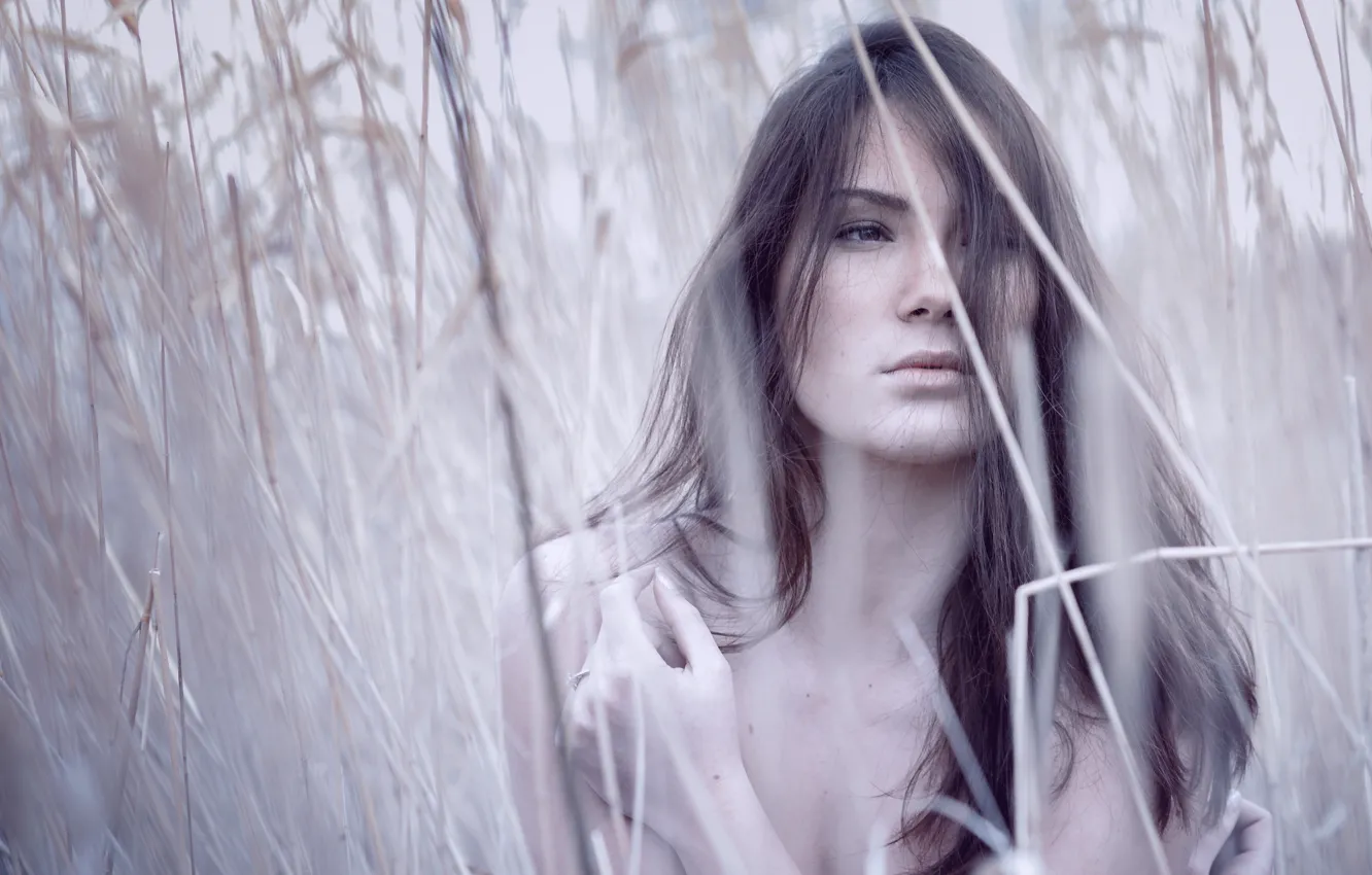 Wallpaper girl, portrait, reed for mobile and desktop, section девушки ...